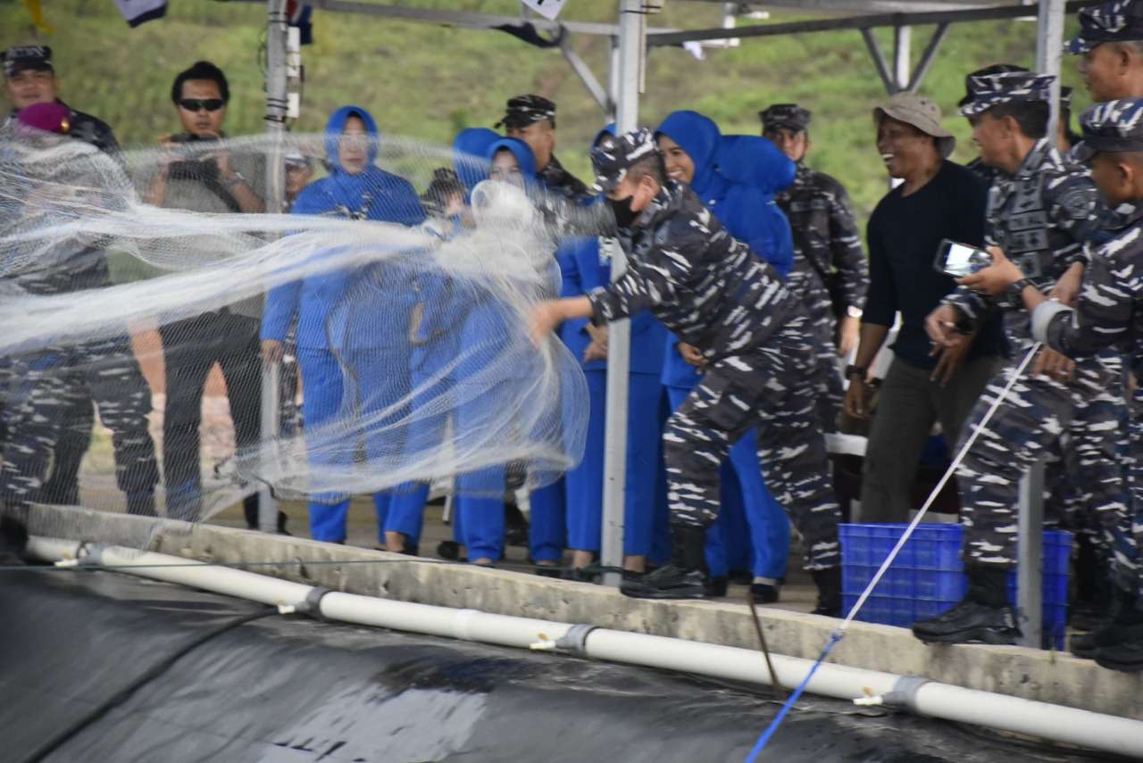 Lantamal IV Panen Raya dan Tebar Benih Udang Vaname - MataKepri ...
